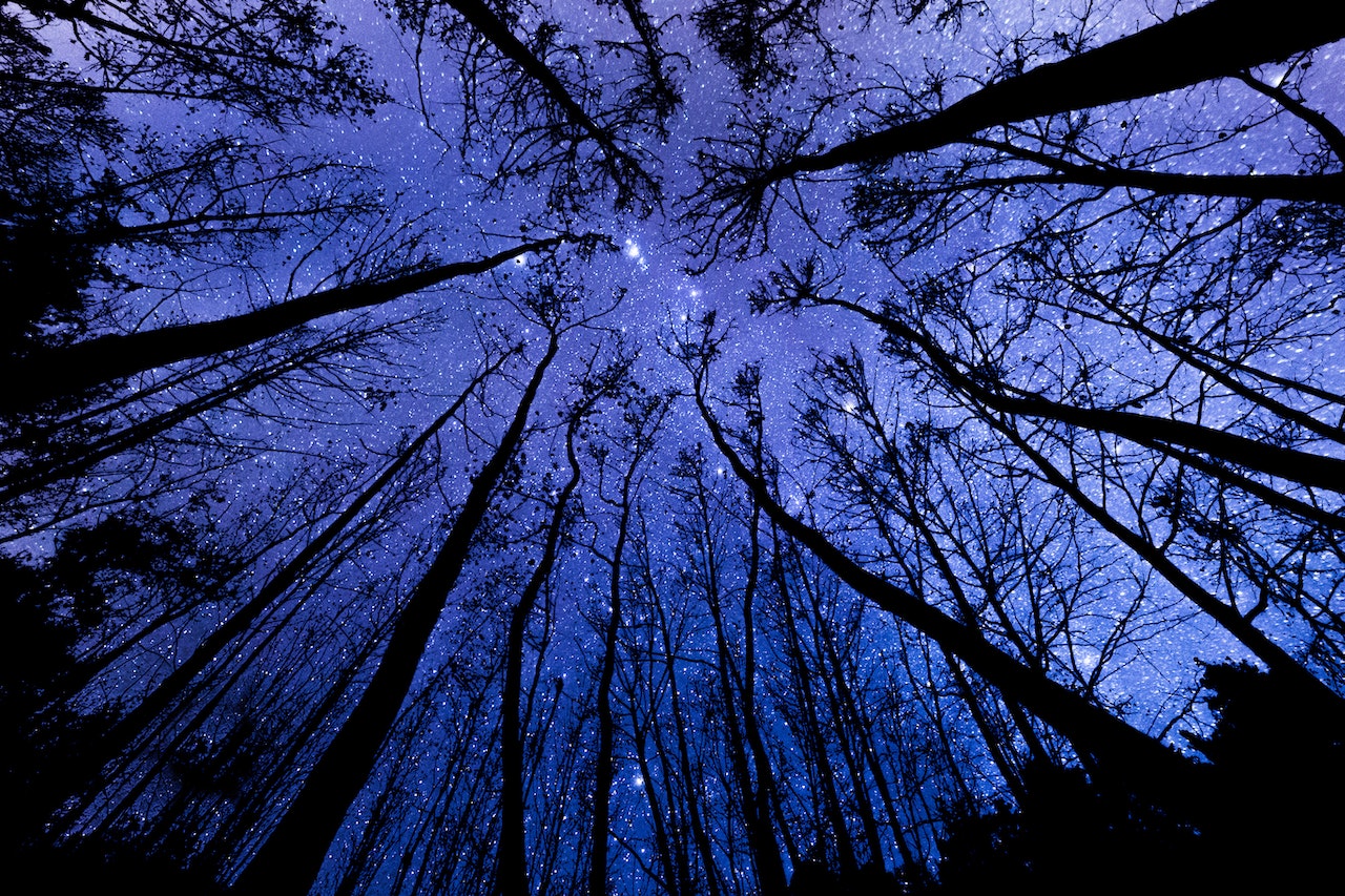The Best Locations to See Constellations Across the US