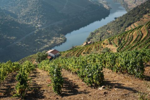 Portugal in September: Weather, Reasons to Visit & Things to Do ...