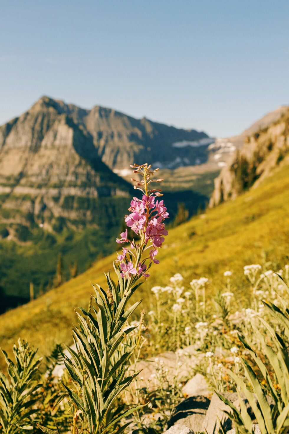 15 Best National Parks to Visit in November - Insight Vacations