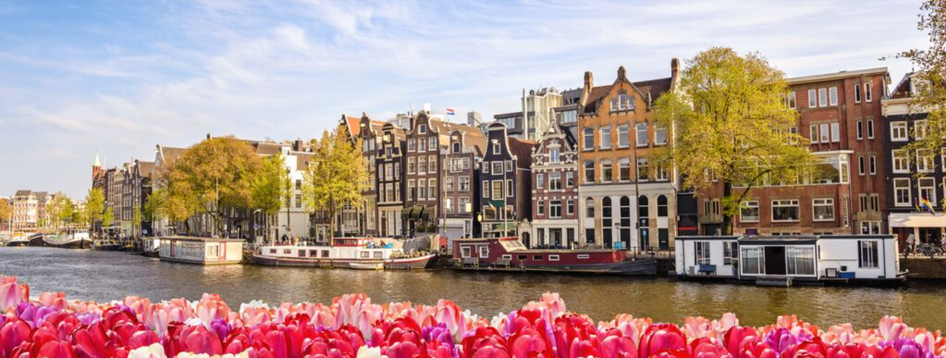 Netherlands Guided Tour Packages | Insight Vacations AU