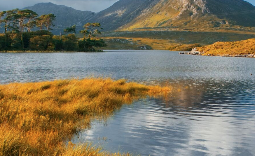 Ireland Guided Tour Packages | Insight Vacations