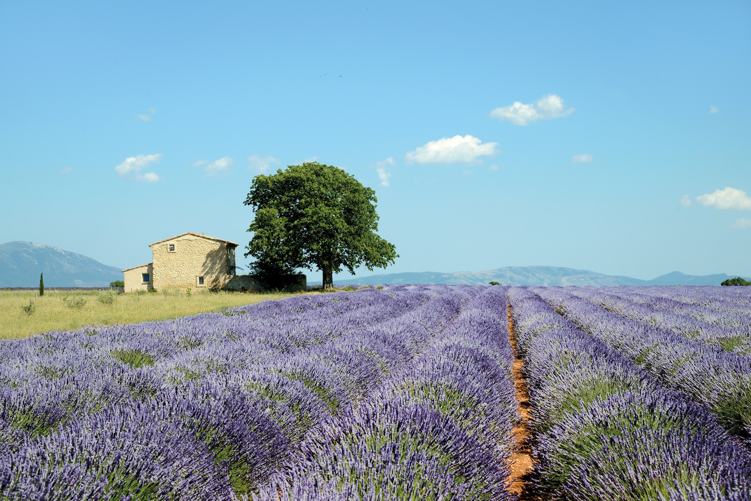 Country Roads of France Guided Tour | Insight Vacations