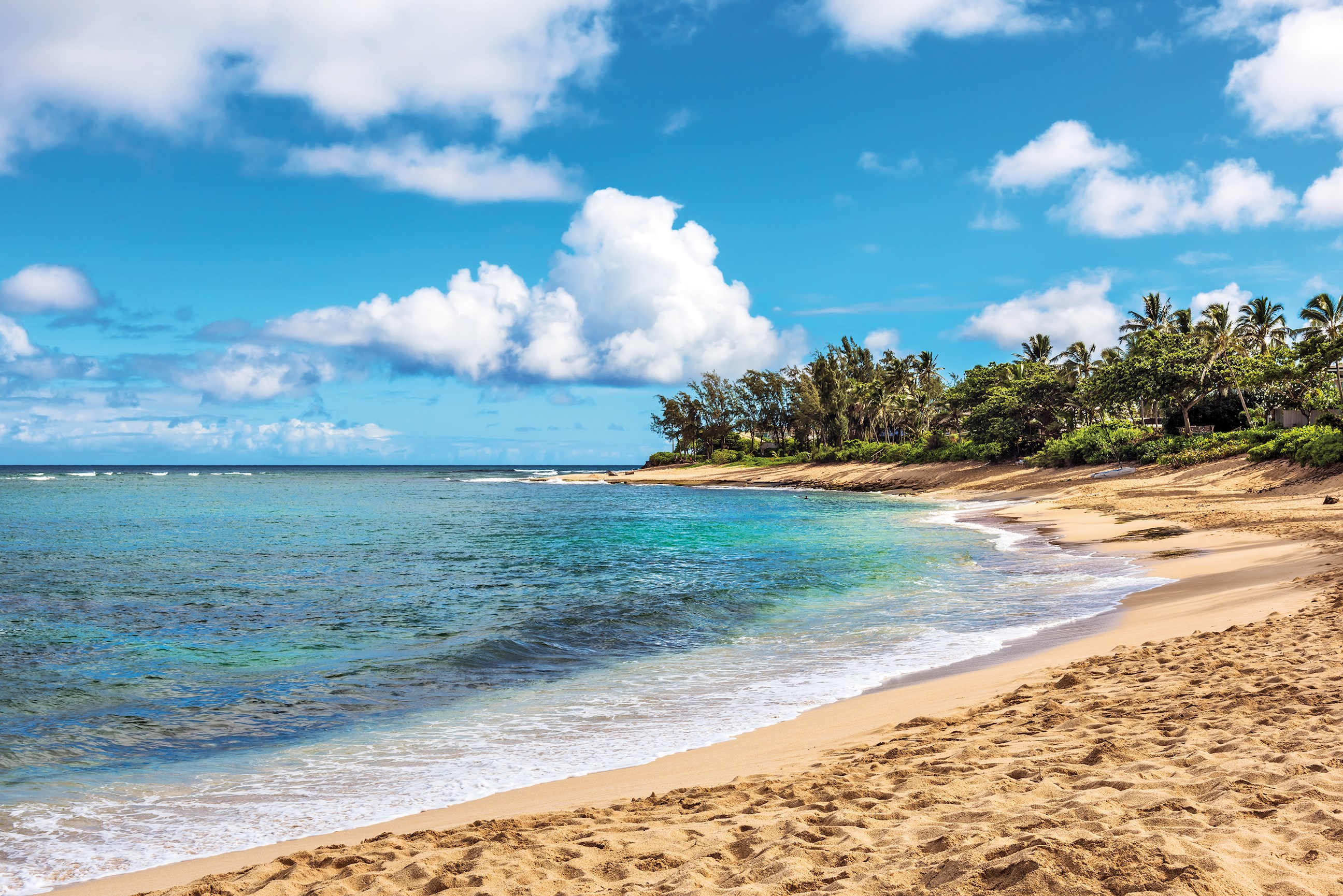 Hawaii with Oahu Maui Guided Tour | Insight Vacations EU